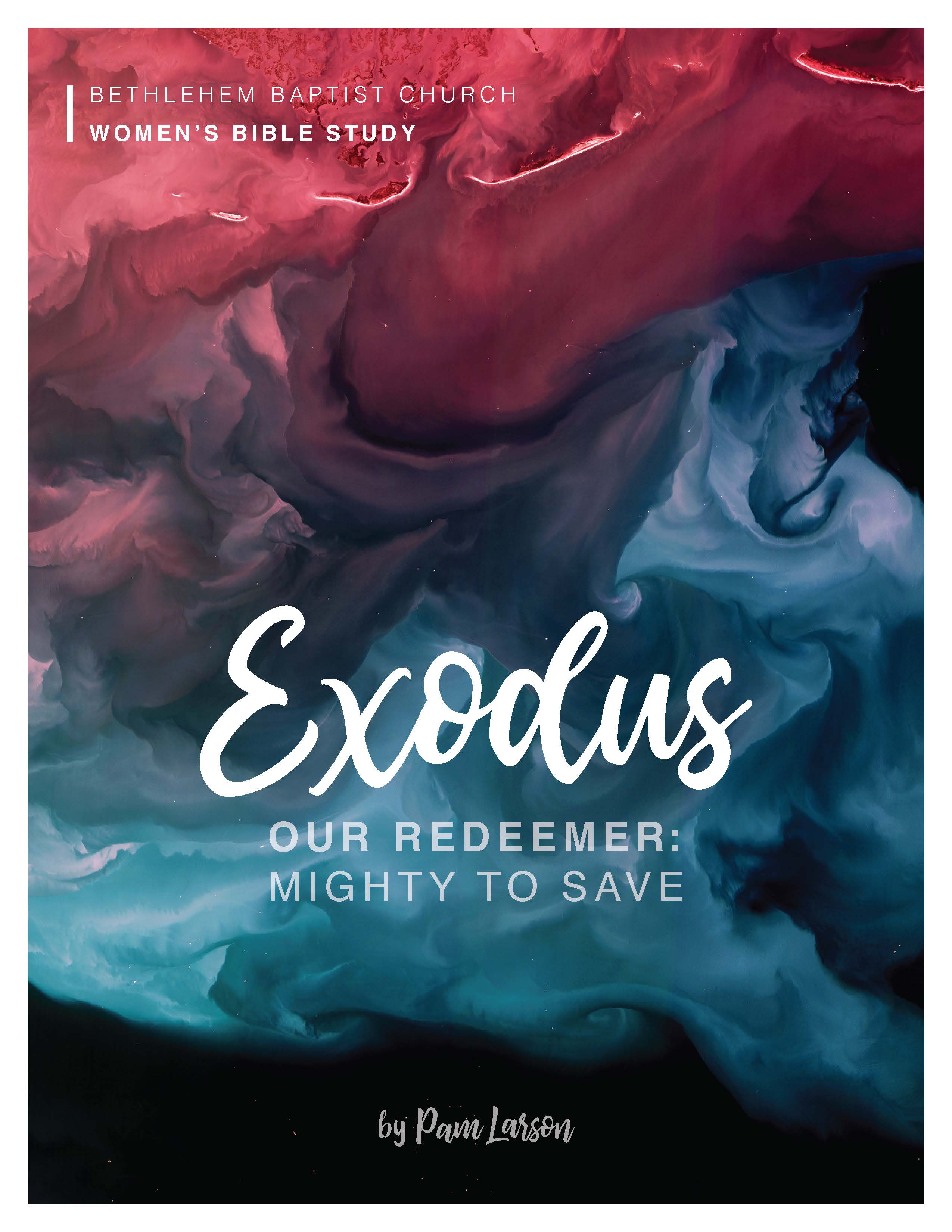 Bible Studies | Pam Larson