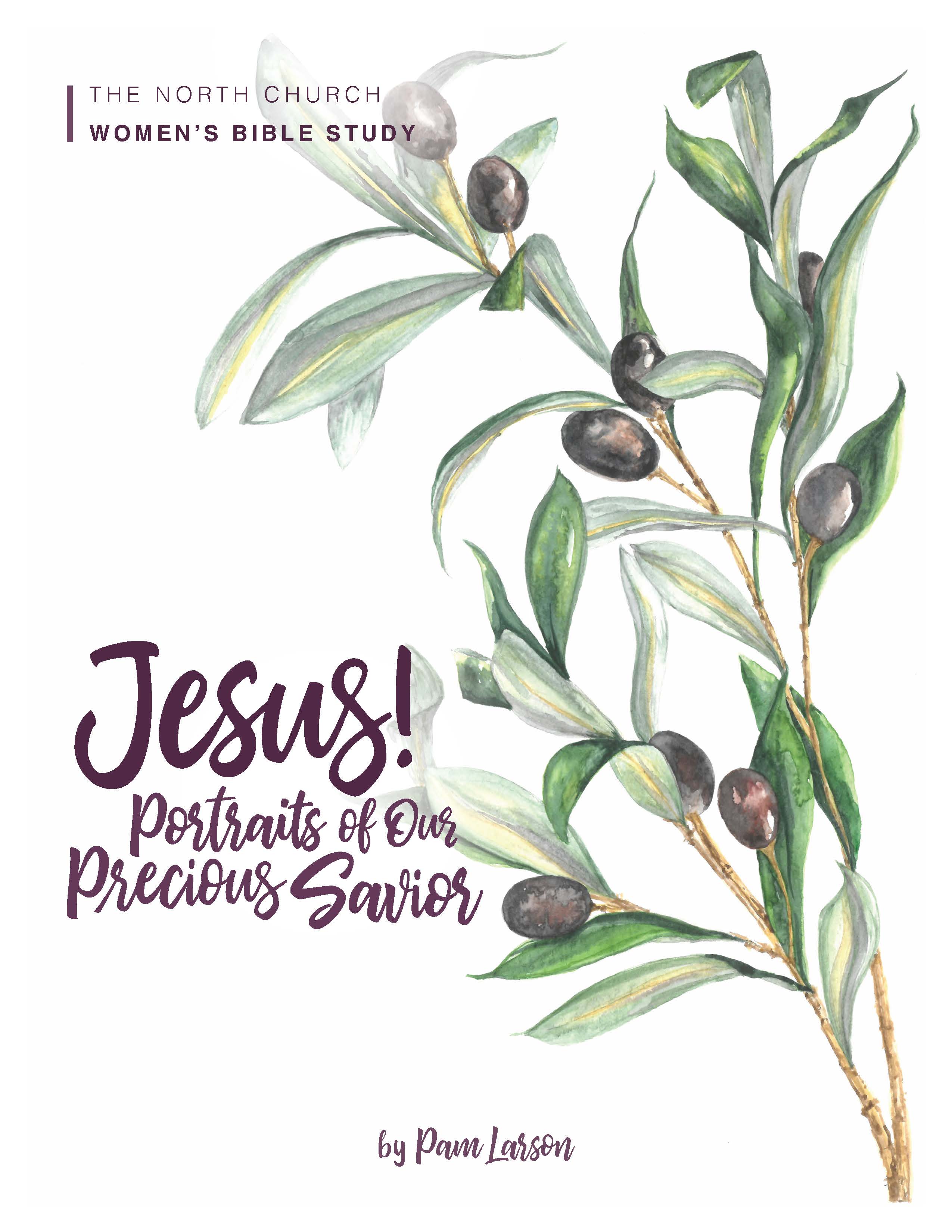 Bible Studies | Pam Larson